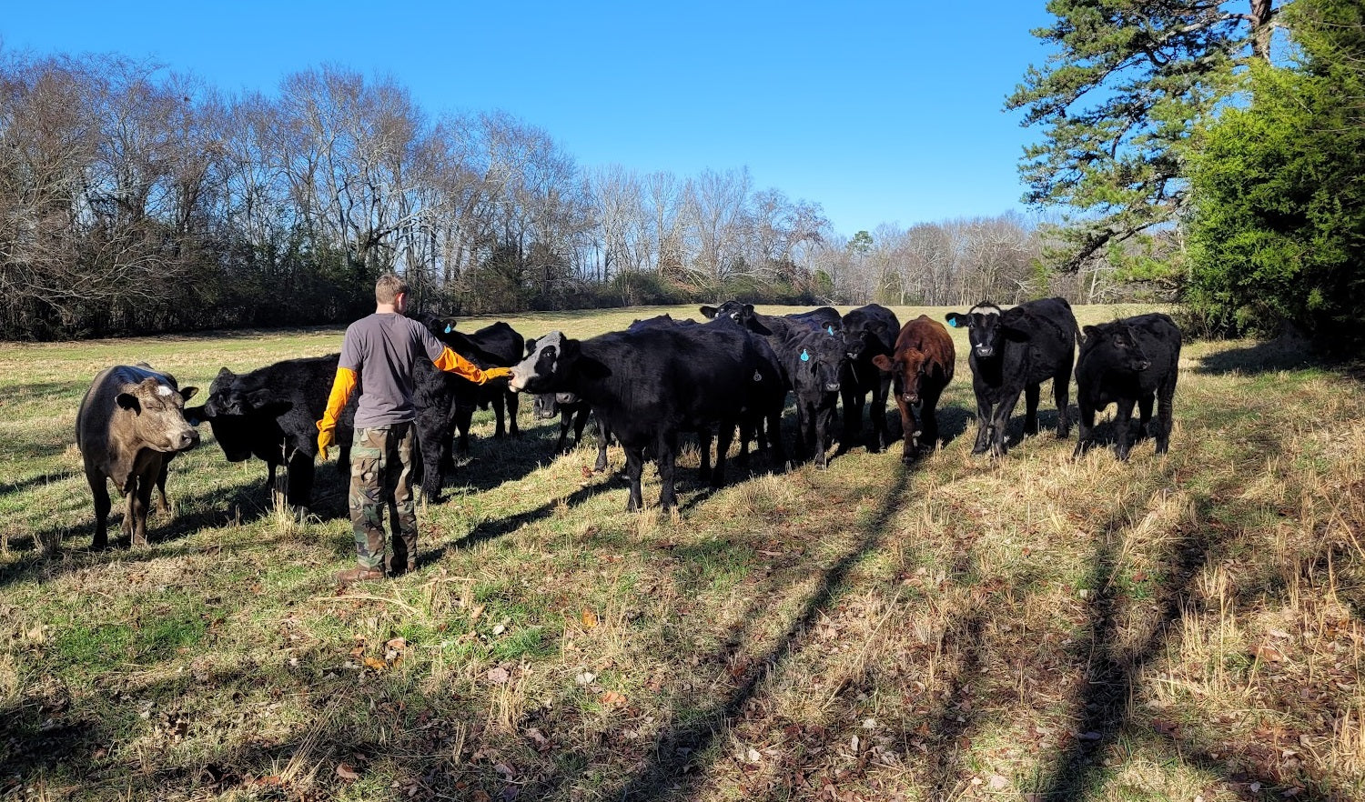 What We Do – Benson Farms
