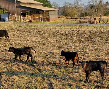 What We Do – Benson Farms