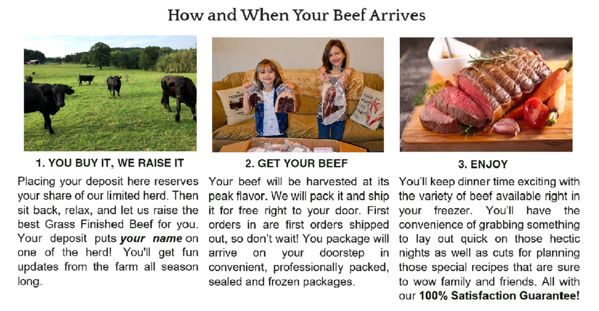 Shop Bulk Beef – Benson Farms